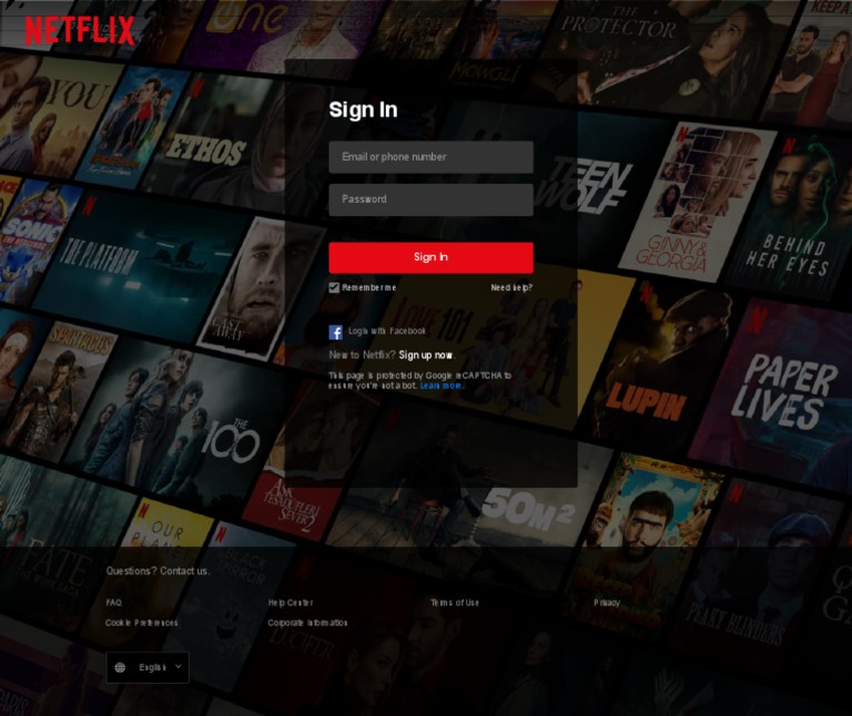 Netflix | PDF
