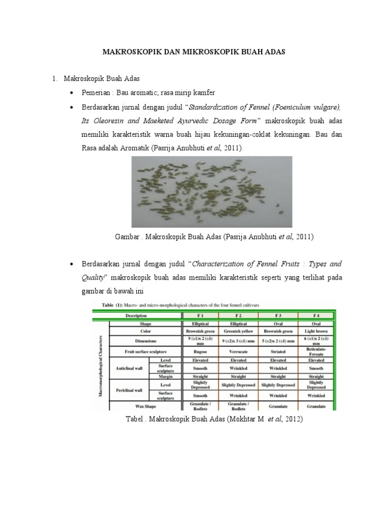 Makroskopik Dan Mikroskopik Buah Adas | PDF