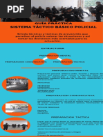 DIPOL | PDF | Policía | Planificación