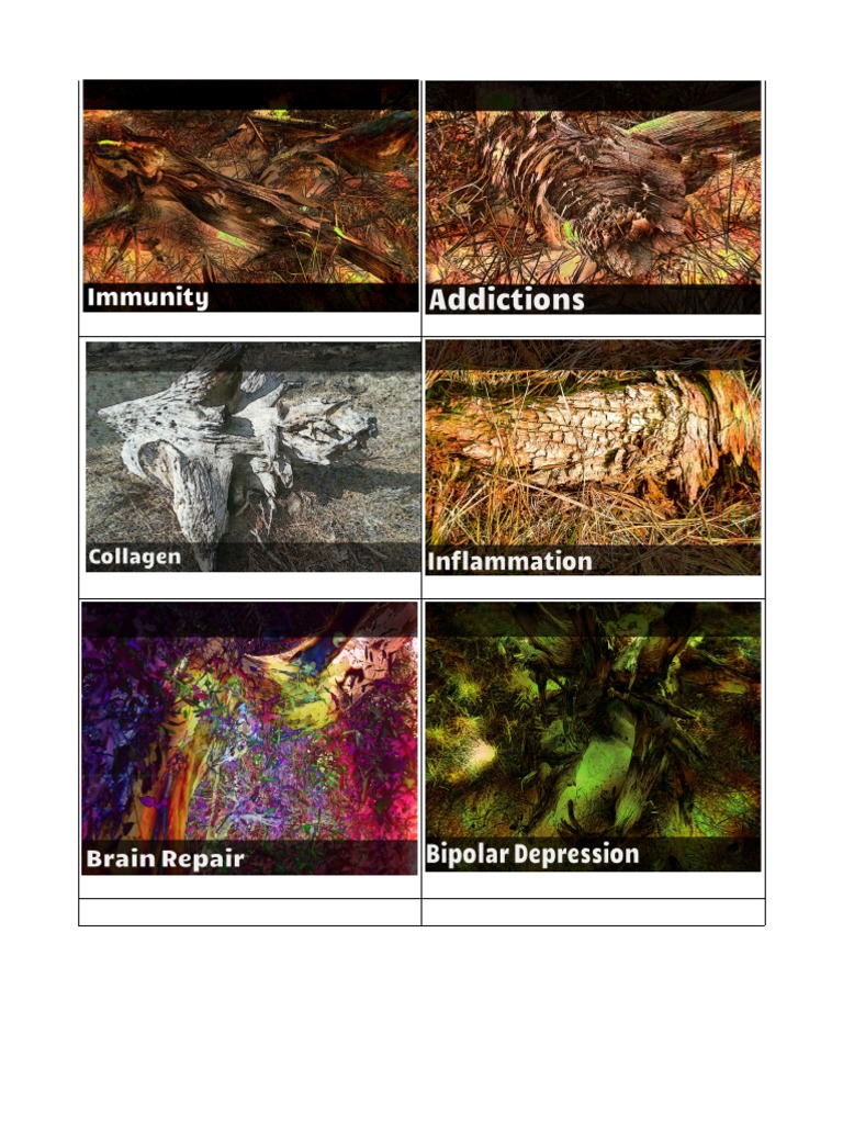 Rife Frequency Patterns | PDF