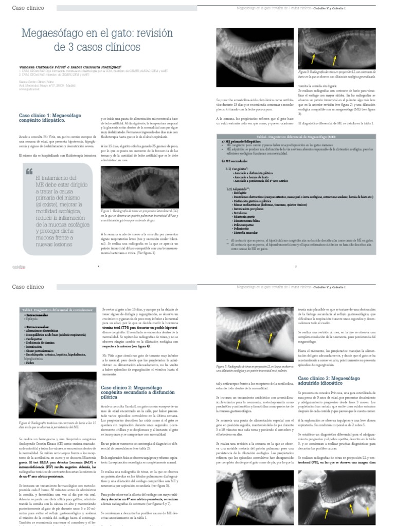 Megaesofagoenelgato Revisiondetrescasos | PDF | Esófago | Gatos
