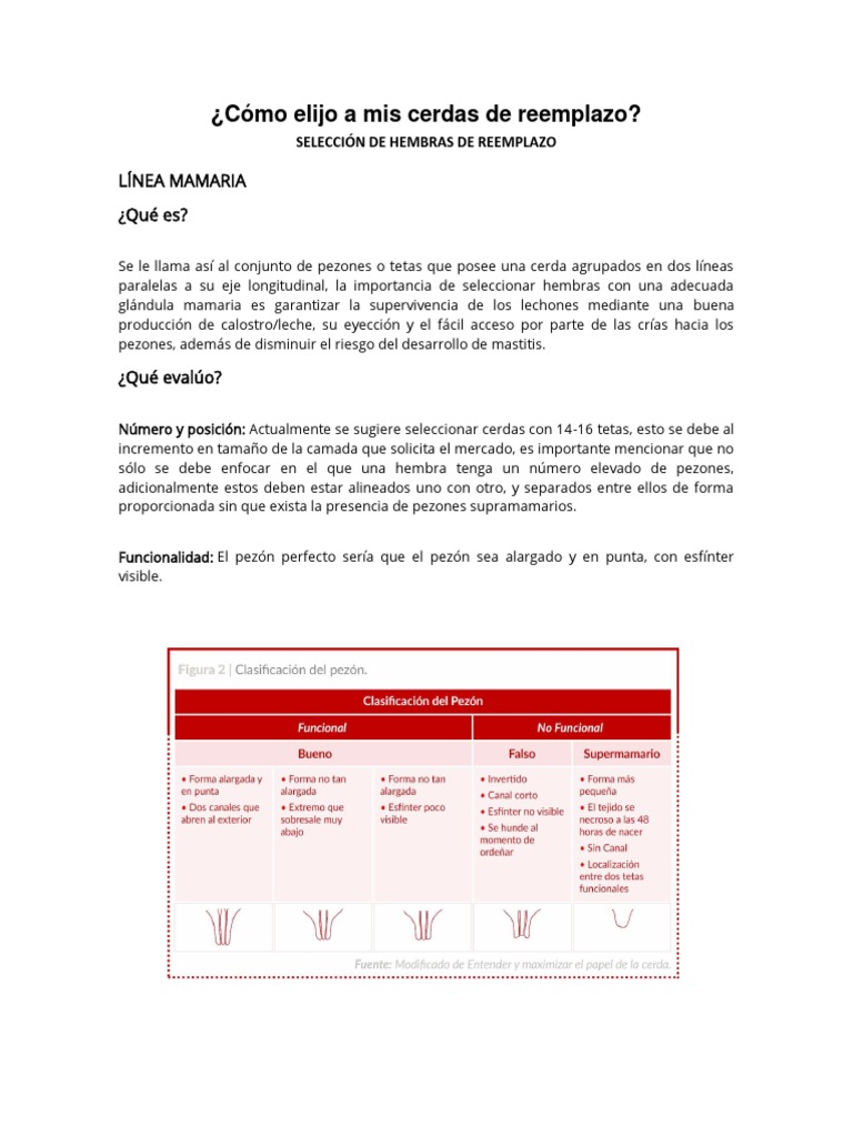 LÍNEA MAMARIA | PDF | Naturaleza | Bienestar