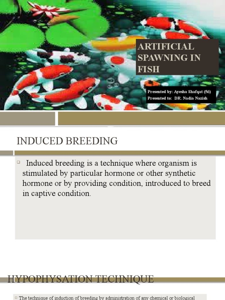 Artificial Spawning in Fish ......... | PDF | Pituitary Gland | Nature