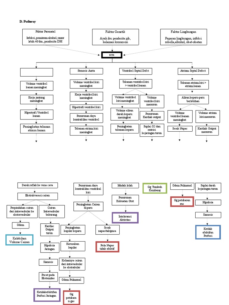 Pathway Penyakit Jantung Bawaan | PDF