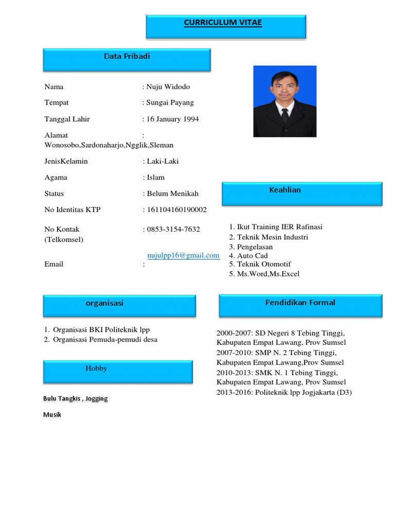 CV Nuju Widodo | PDF