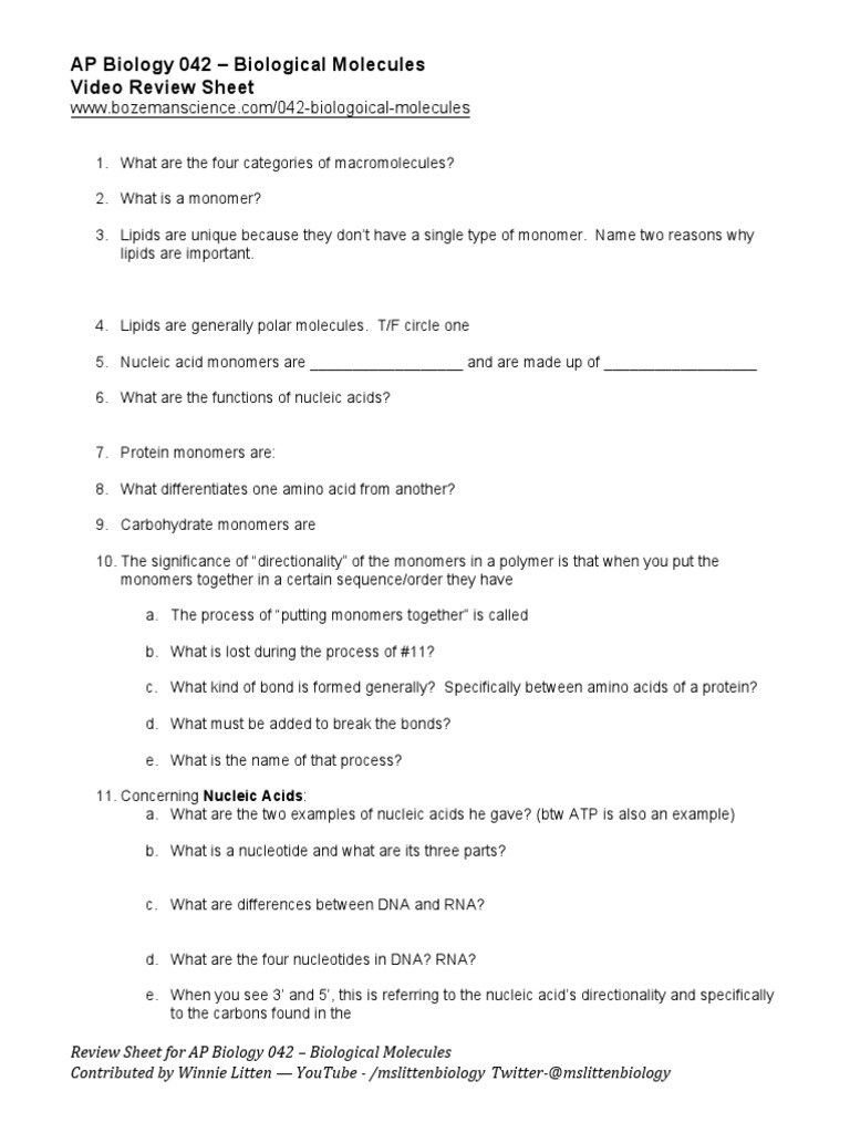 AP+Bio 042+Biological+Molecules+Worksheet WL | PDF | Nucleic Acids ...