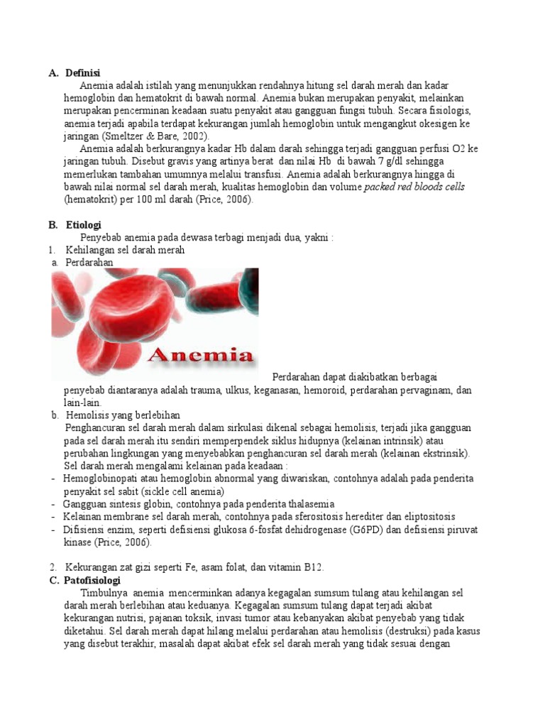 LP Anemia | PDF