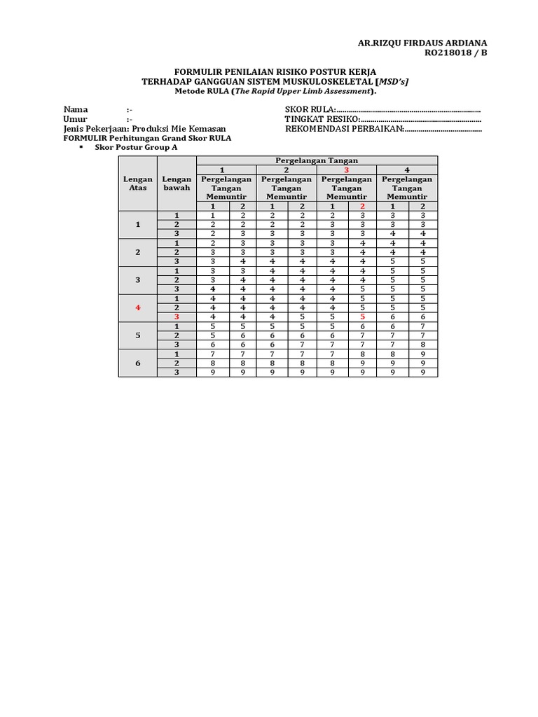 Form Pengukuran Rula | PDF