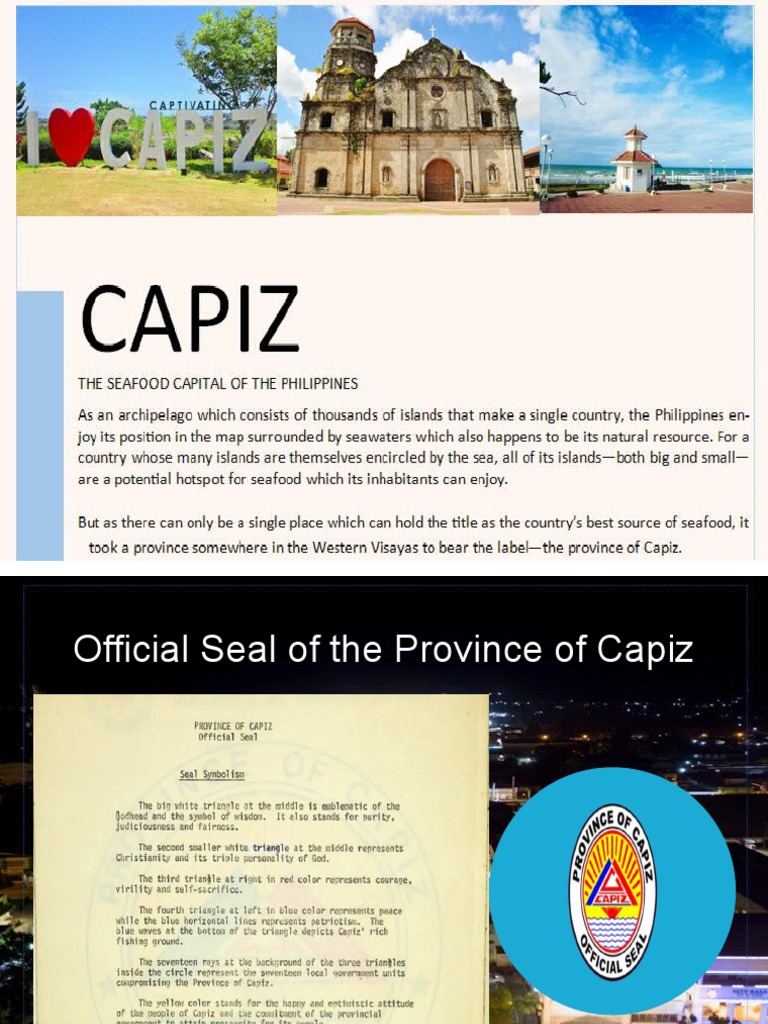 Capiz Reporting | PDF