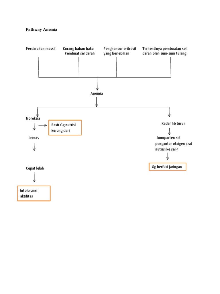 Pathway Anemia | PDF