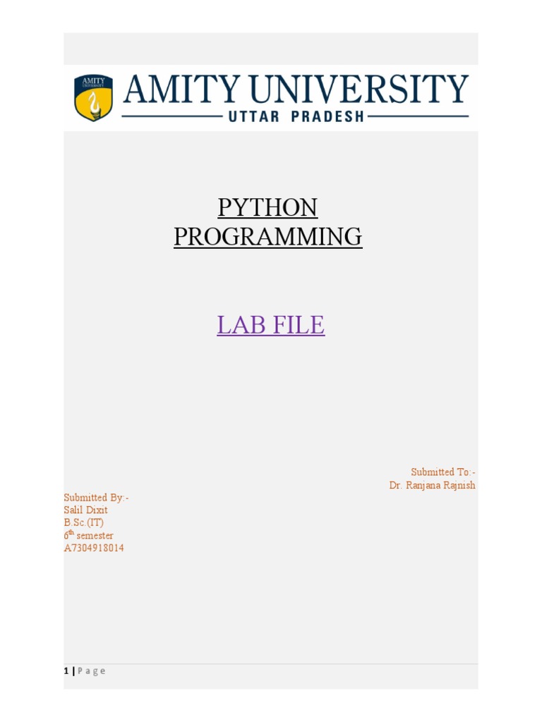 Python Programming | PDF | Parameter (Computer Programming) | String (Computer Science)
