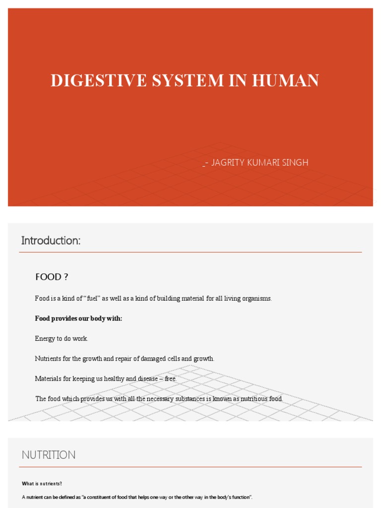 Human Digestive Sysytem Icse Board | PDF | Digestion | Human Digestive ...