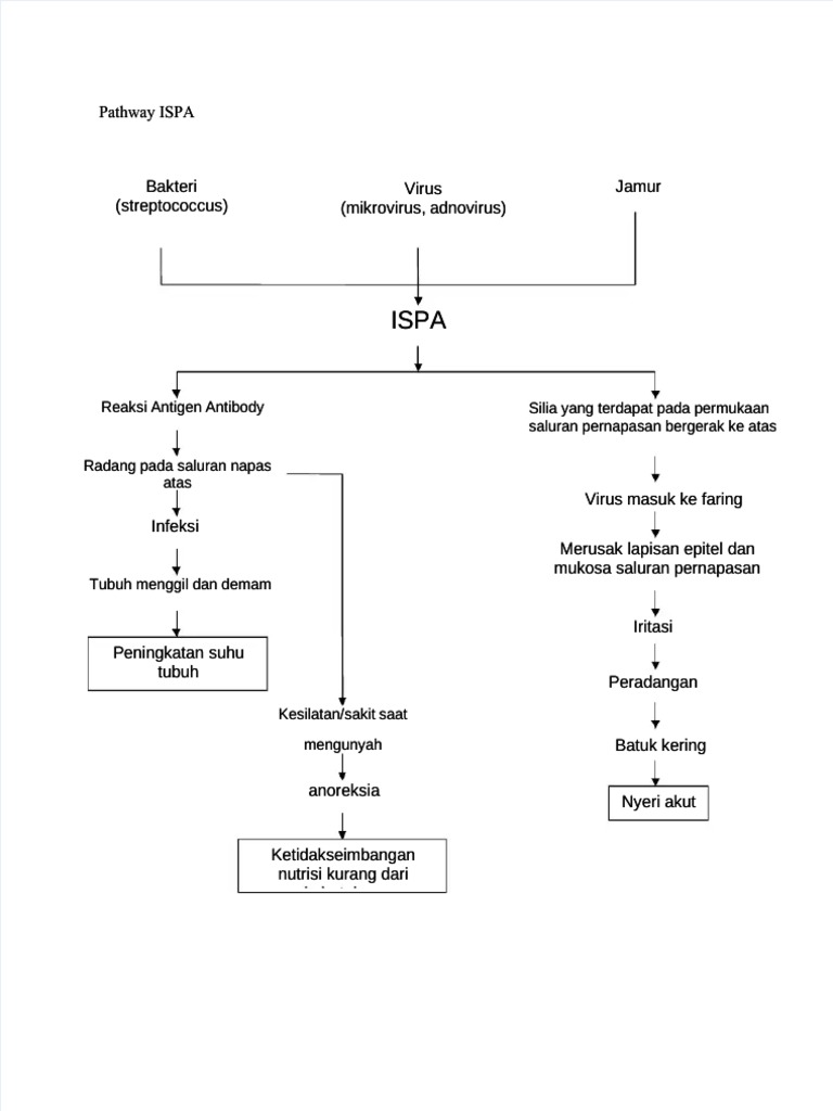 Pathway Ispa Ok | PDF