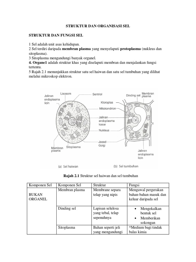 Nota Bio Bab 2 | PDF