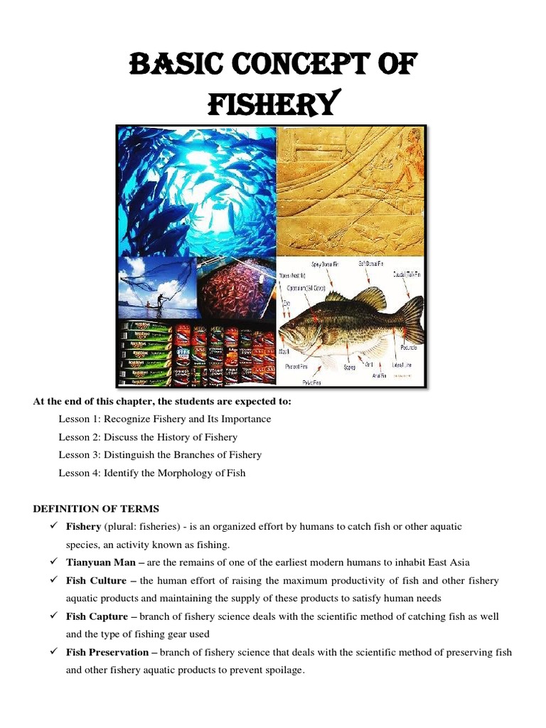 An Introduction to Fisheries: A Multi-Lesson Look at the History ...