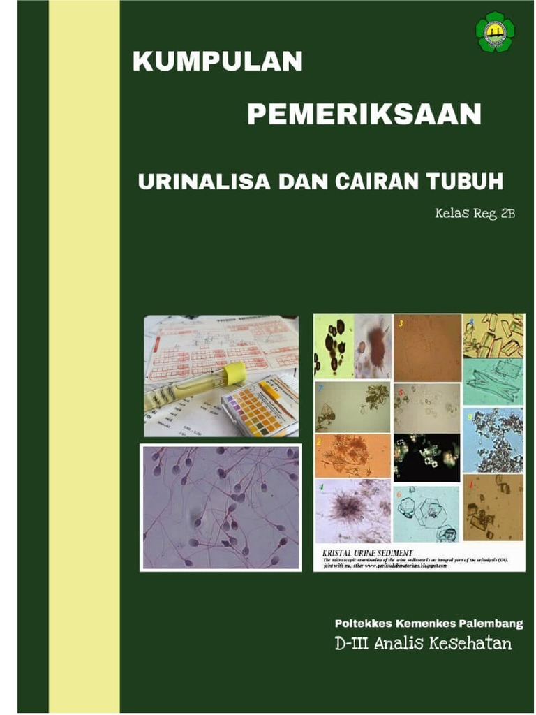 Pemeriksaan Urinalisis dan Interpretasi | PDF