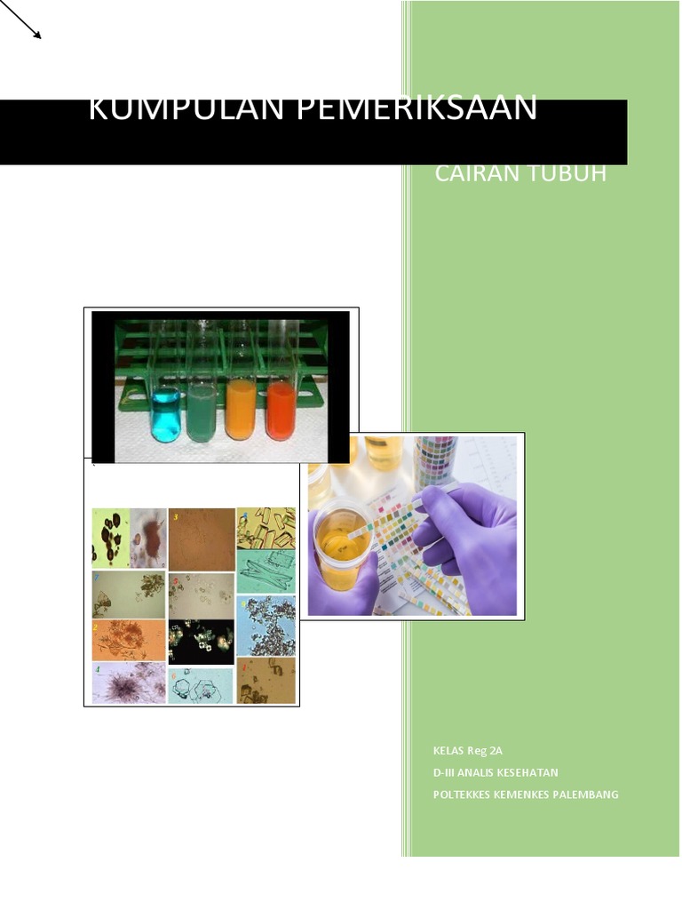 Modul Urinalisa A | PDF