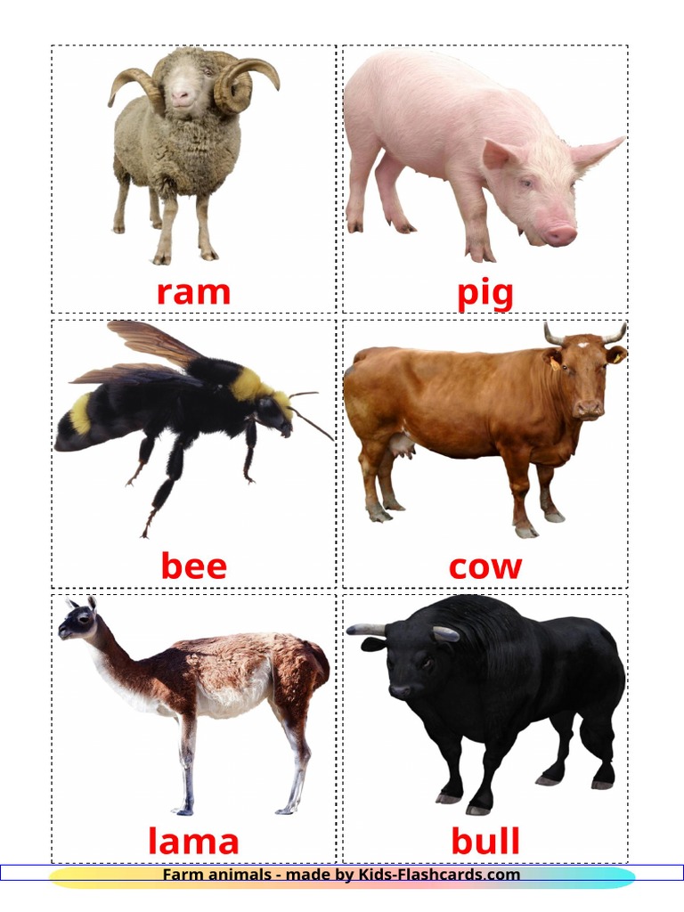 Farm Animals 6 A4 | PDF