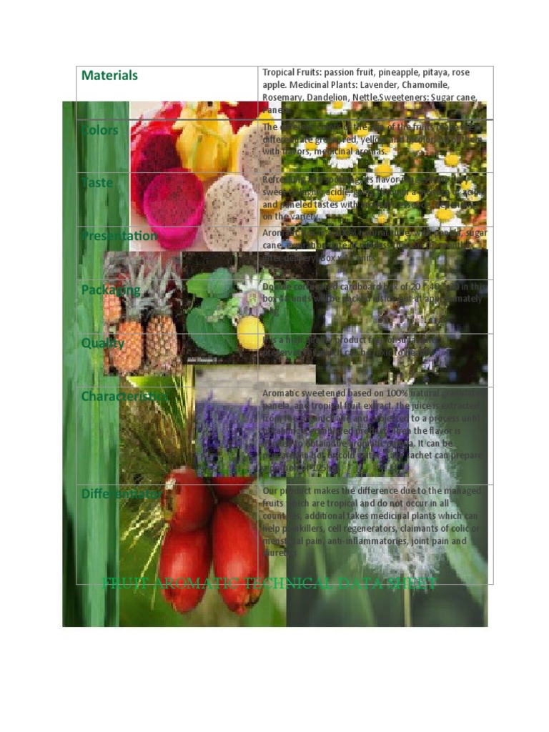 Fruit Aromatic Technical Data Sheet 2 | PDF