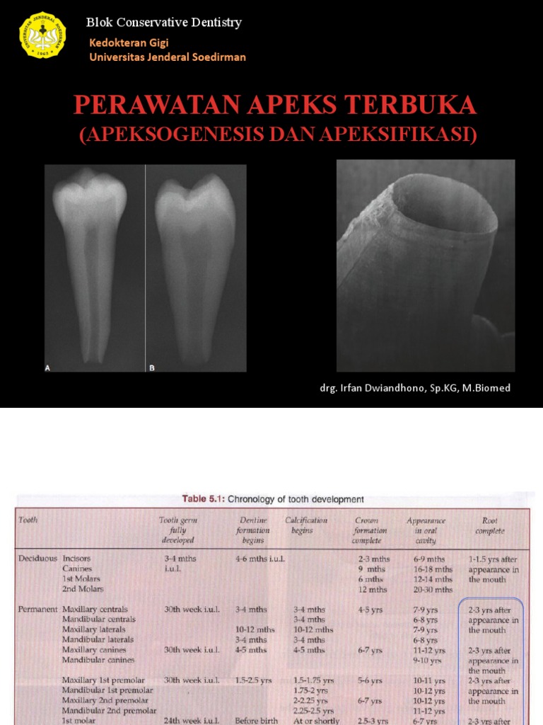 L3. Apexogenesis - Apexification | PDF | Dentistry Branches | Health Care