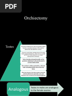 Neuro Obs - Resident | PDF | Coma | Neurology