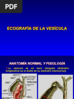 Vesícula en Porcelana y Signo de WES | PDF | Ciencia y matemáticas