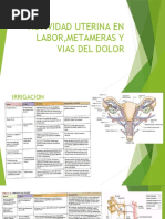 Torax LeÑoso | PDF