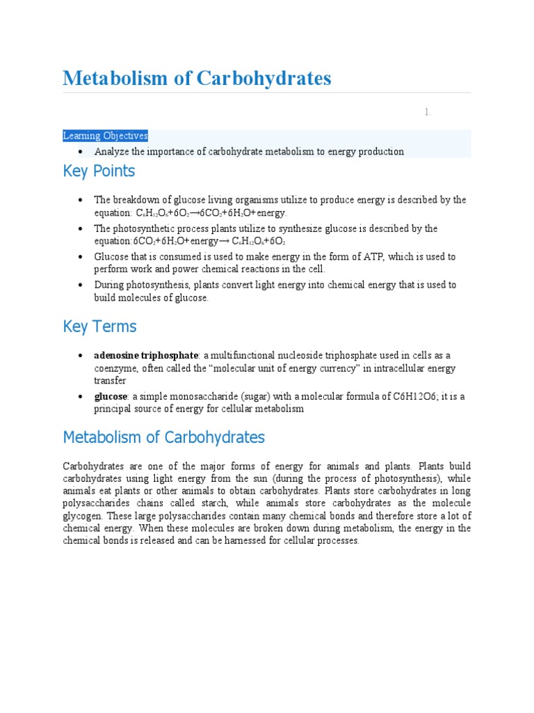 Metabolism of Carbohydrates and Lipids | PDF | Metabolism | Carbohydrates