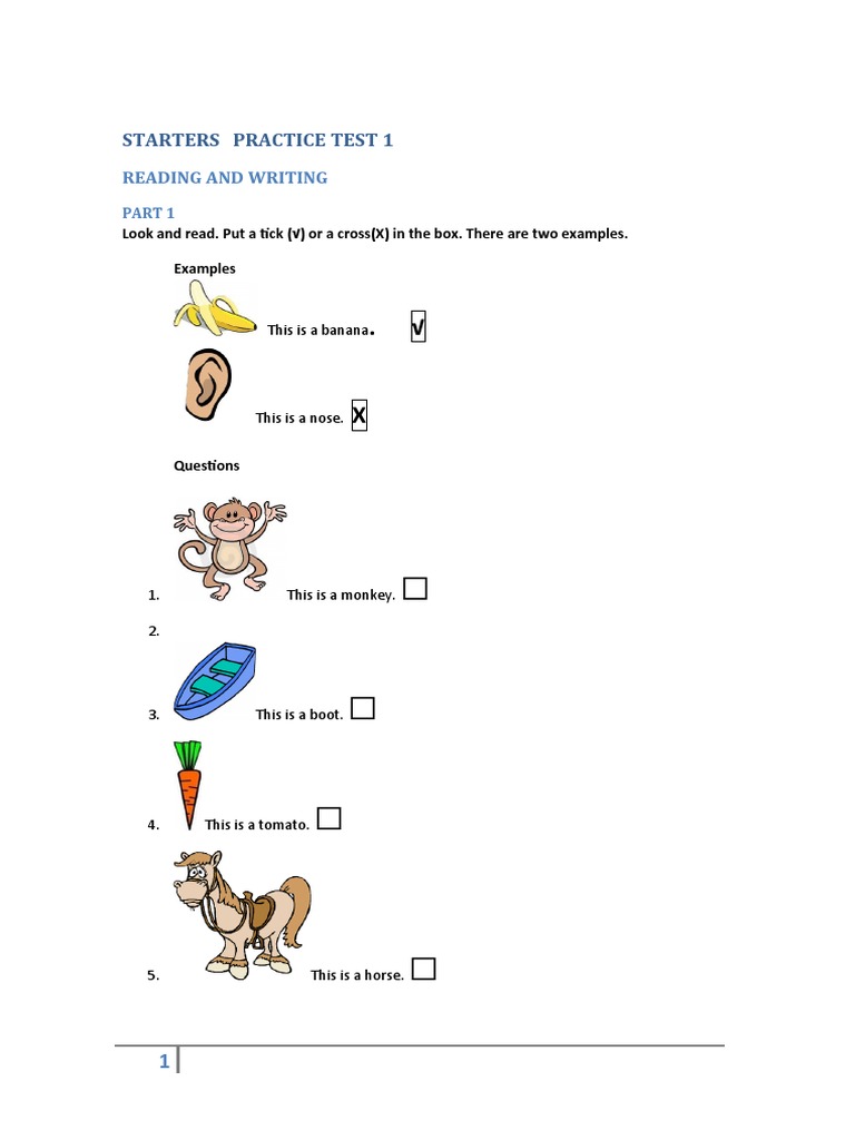 Starters Practice Tests Tests 22055 | PDF