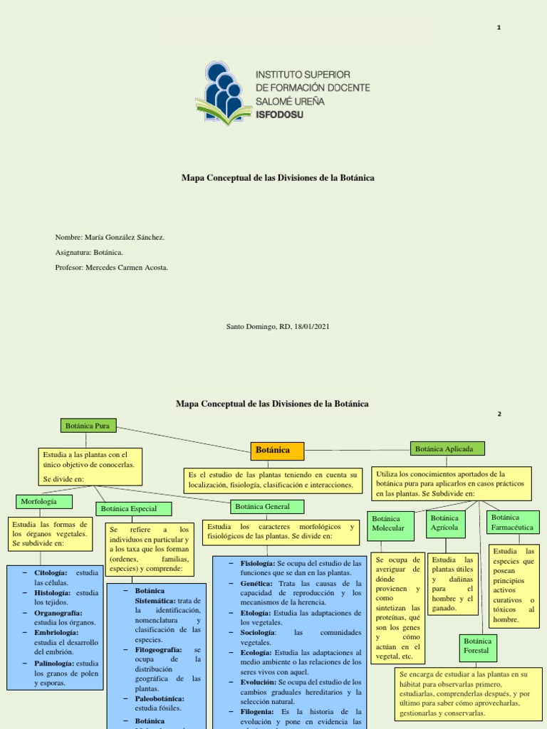 Mapa Conceptual de Las Divisiones de La Botanica | PDF | Botánica | Plantas