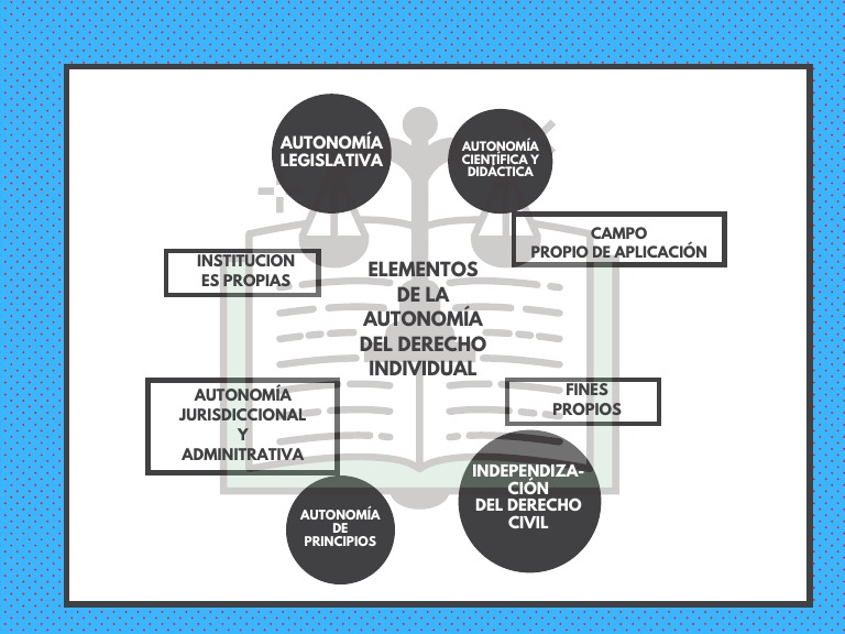Elementos de La Autonomía Del Derecho Individual | PDF