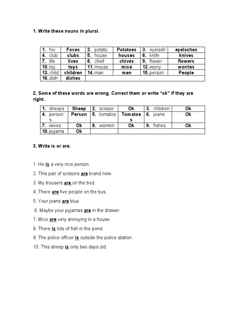 Plural Nouns Practice | PDF | Clothing