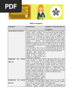 Evidencia Matriz de Organización Conceptual Sobre Salud Mental. AA1 ...