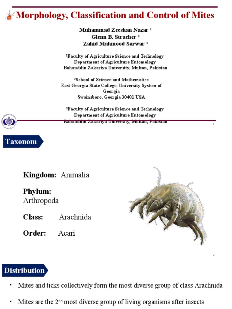 Morphology Classification and Control of Mites | PDF | Leaf | Biology
