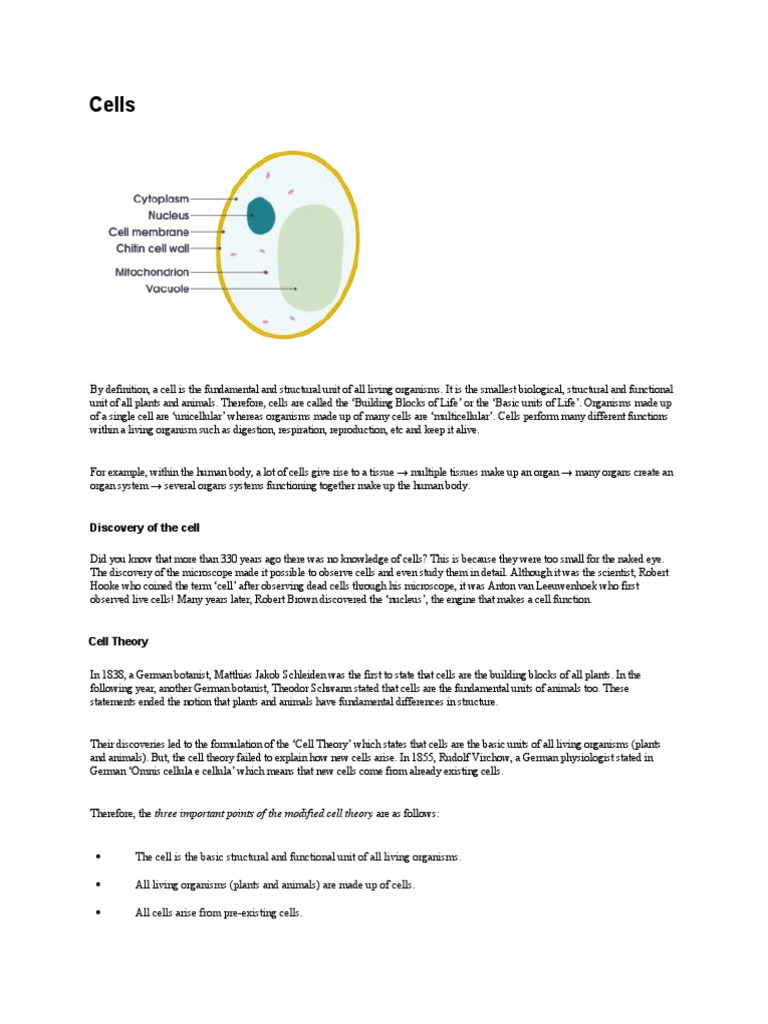 Cells: Discovery of The Cell | PDF | Philosophy | Science & Mathematics