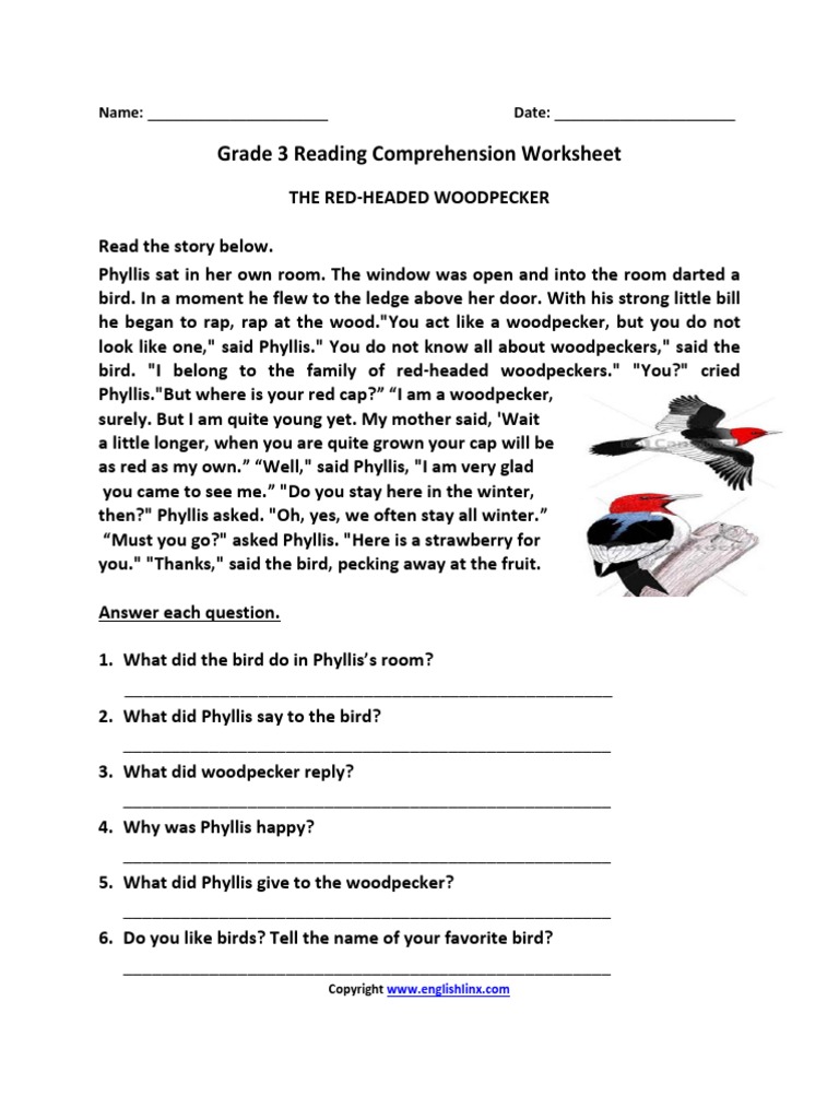 Grade 3 Reading Comprehension Worksheet | PDF