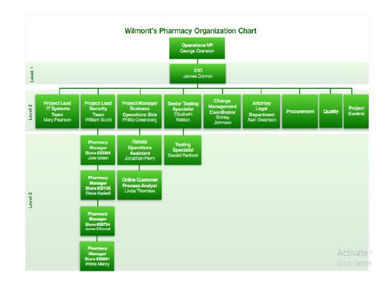 Project Org. Chart (Wilmont's Pharmacy Drone Case) | PDF