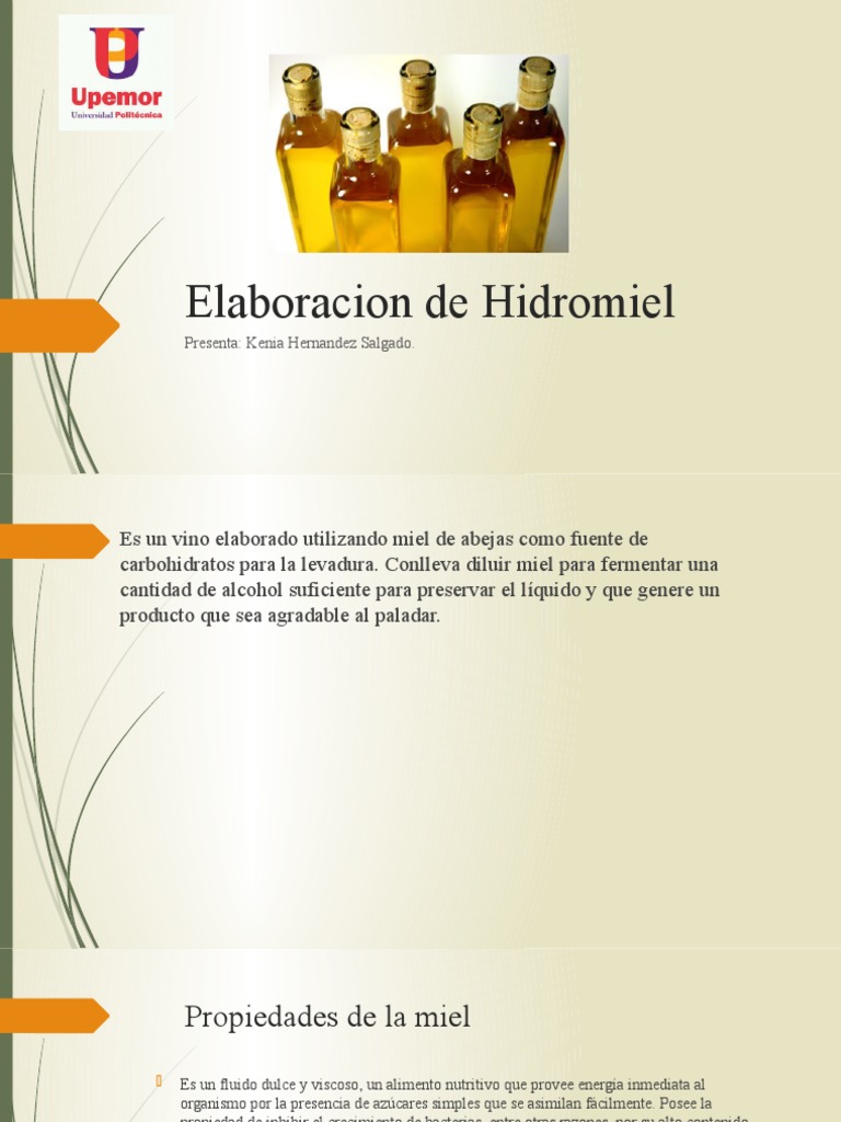 Guía paso a paso para la elaboración artesanal de hidromiel | PDF ...
