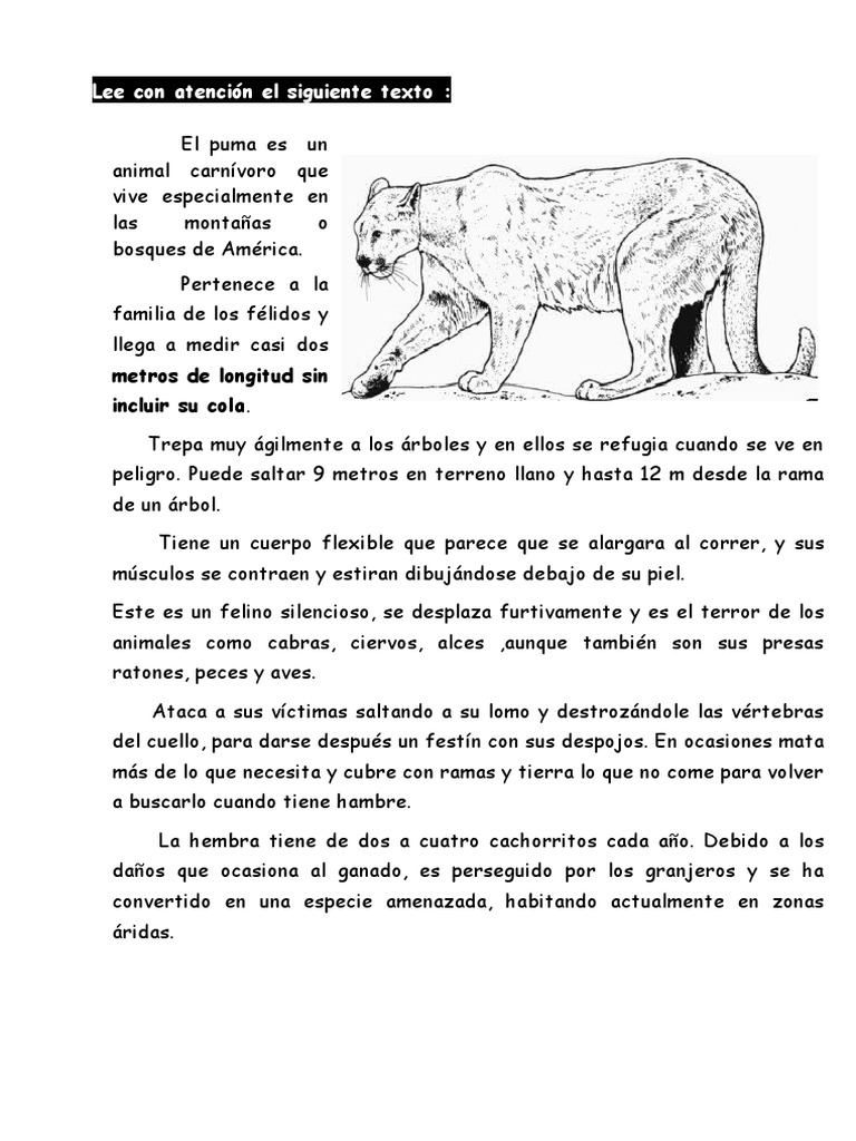 6 Puma Puma | PDF