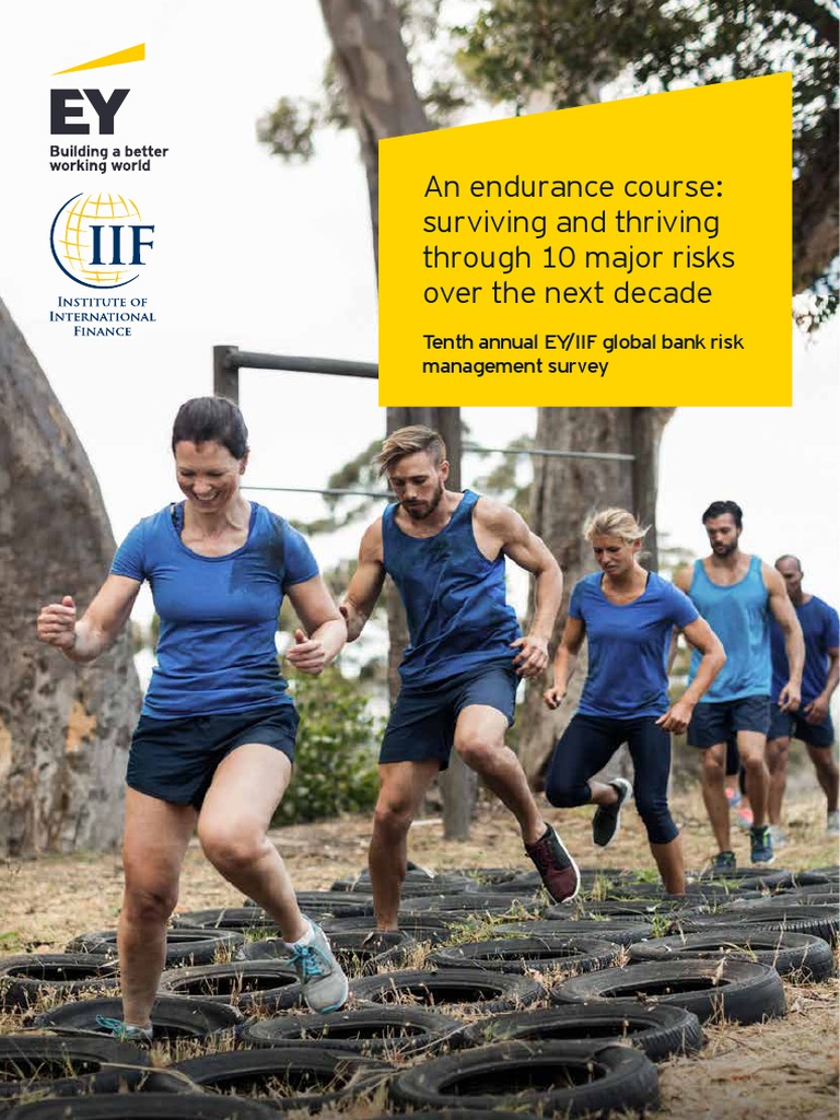 Ey Iif Global Risk Survey V Final Pdf Libor Interbank Lending Market