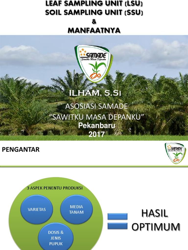Manfaat LSU dan SSU dalam Kelapa Sawit | PDF