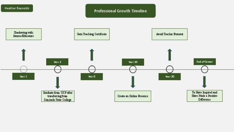 Professional Growth Timeline Overview | PDF