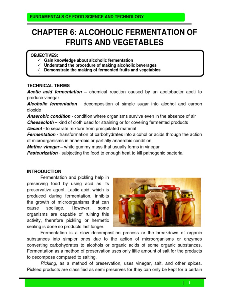 Chapter 6 Fermentation | PDF | Fermentation | Vinegar