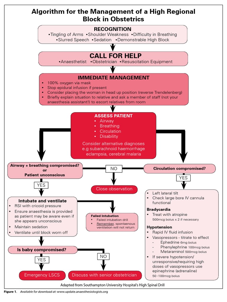 Algorithm For The Management of A High Regional Block in Obstetrics ...