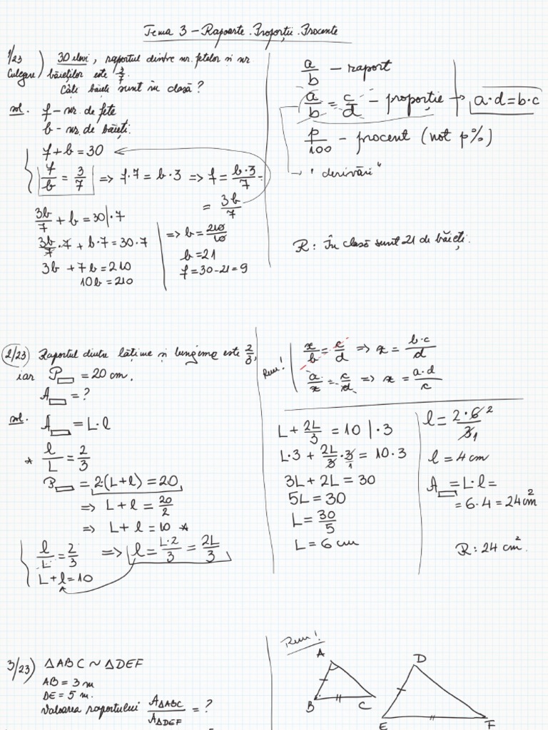 Tema 3 A Rapoarte Procente Proportii | PDF