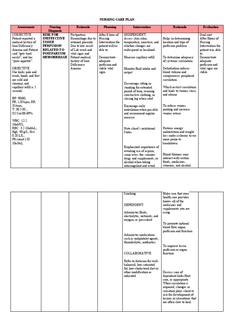 Nursing Care Plan | PDF | Perfusion | Anemia