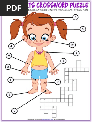 Body Parts Worksheet Esl Human Body Parts Matching English Esl