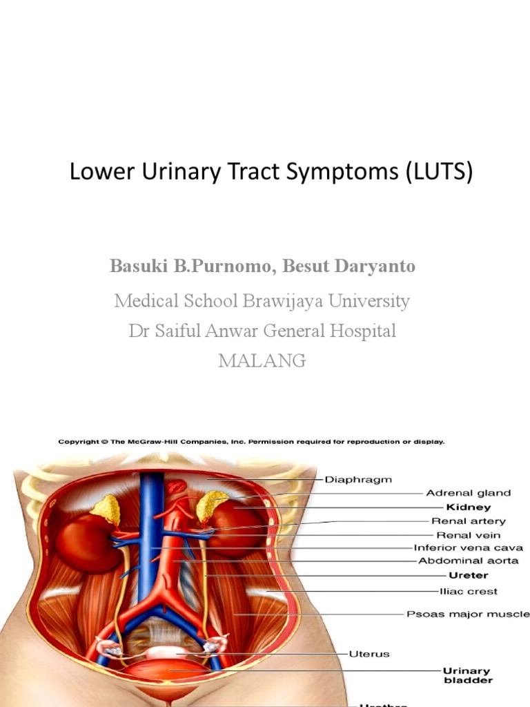 Lower Urinary Tract Symptoms (LUTS) : Basuki B.Purnomo, Besut Daryanto ...
