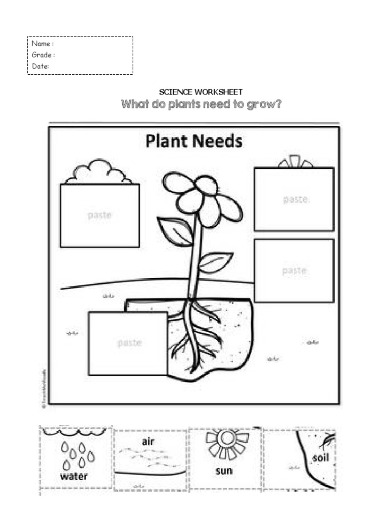 What Do Plants Need To Grow Worksheet Plants Worksheets For UKG