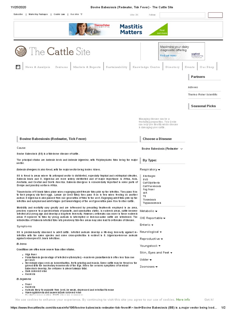 Bovine Babesiosis (Redwater, Tick Fever) - The Cattle Site | PDF ...
